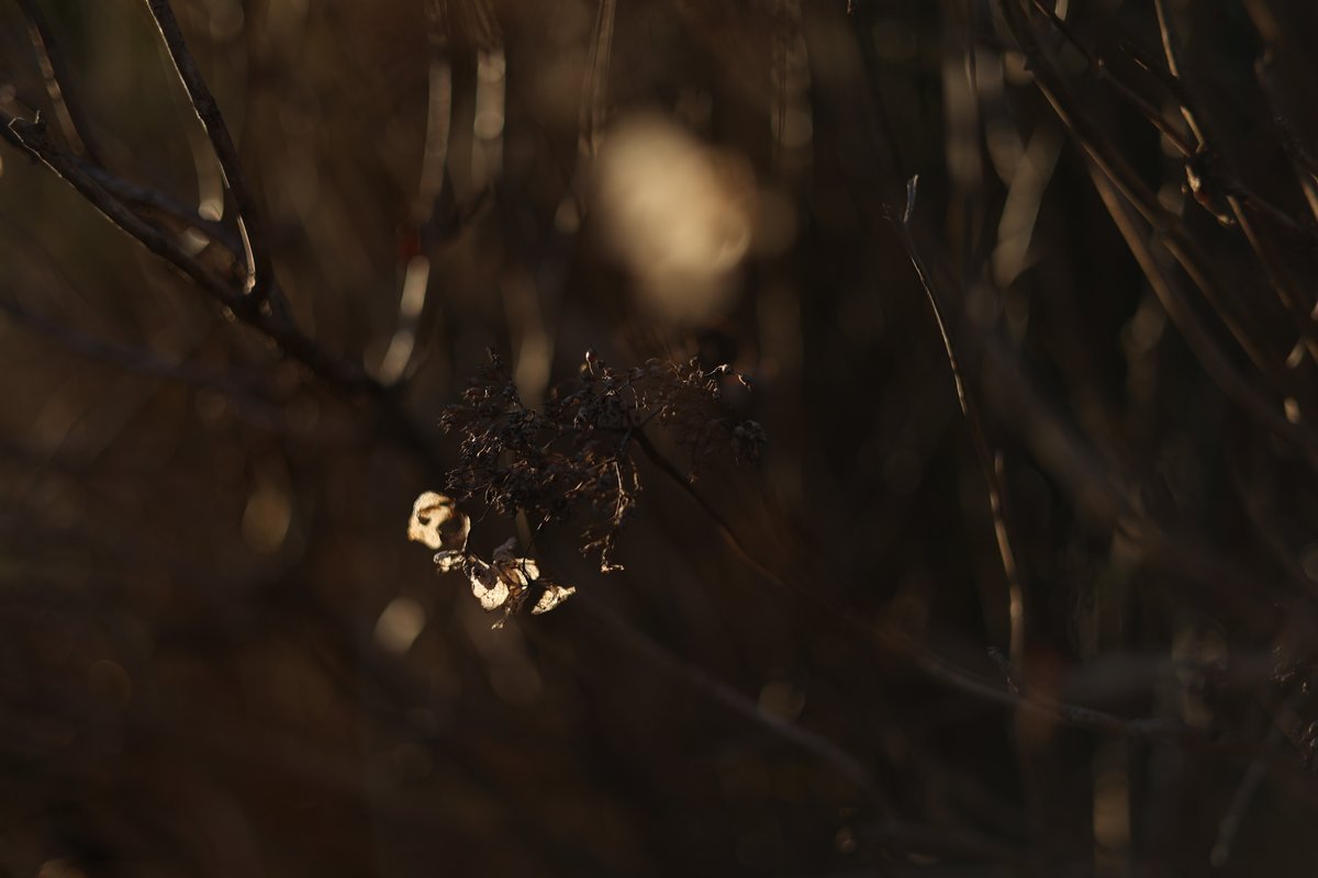 2024年の機材振り返り｜sunny teddy