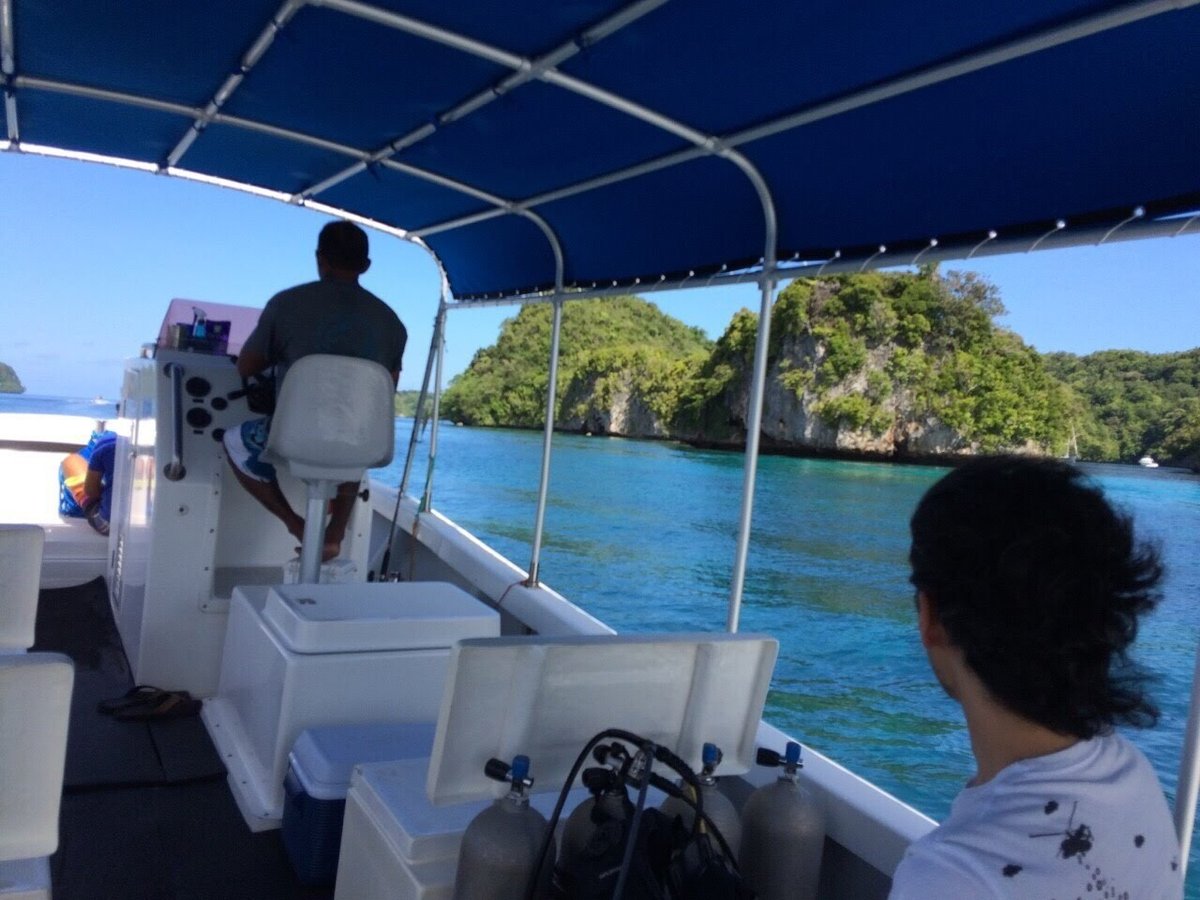 世界中を巻き込んで楽しんで｜Ippei Shimamura