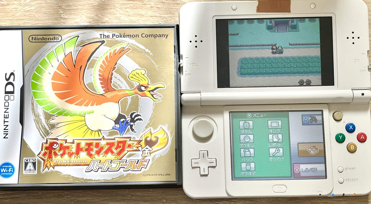 HGSSの色厳選報告①｜くまちゃんのポケモン日記