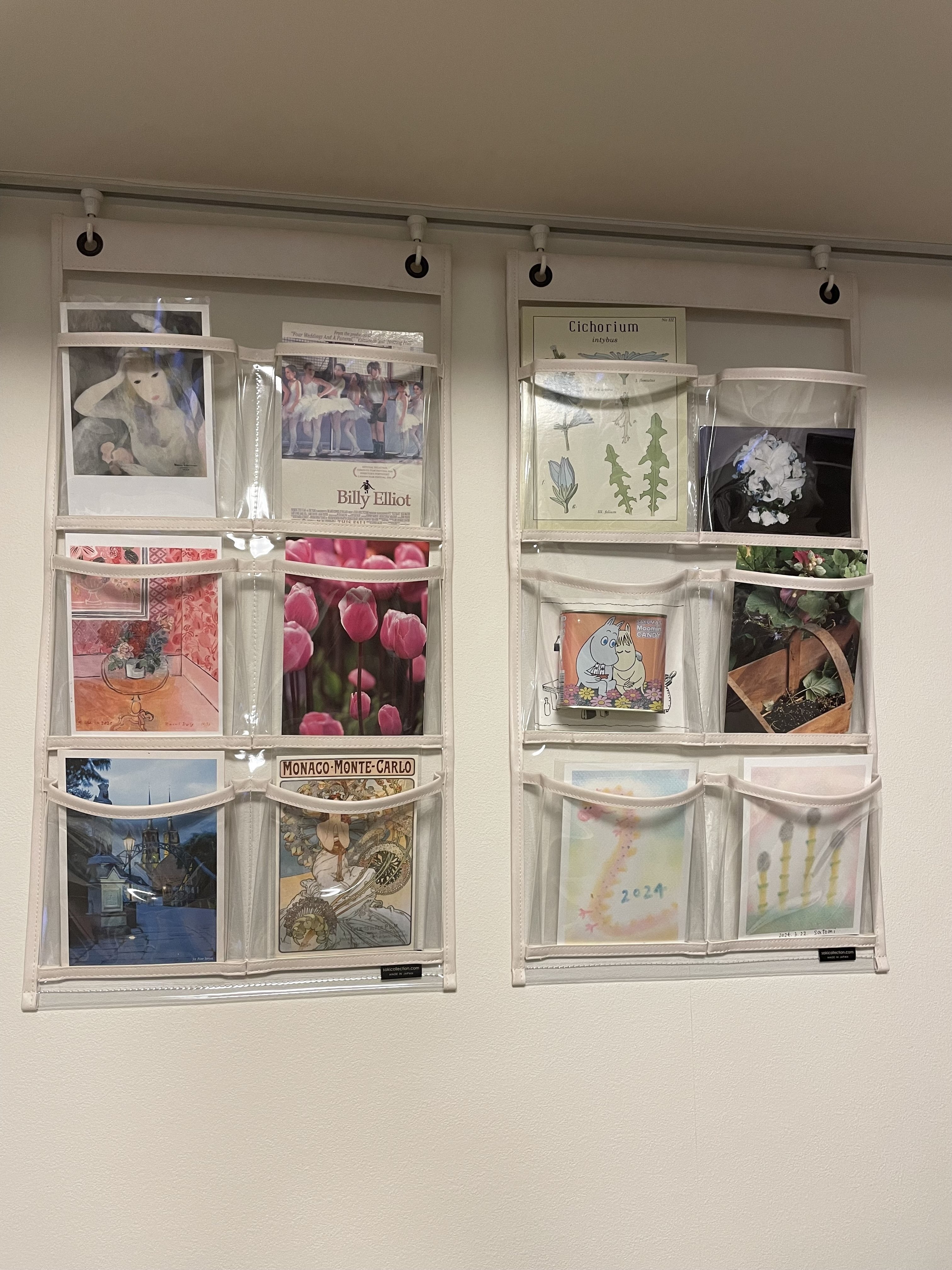 2024年わたしを元気にしてくれたものたち。｜spica@元編集ライターが公認心理師を目指す道のり