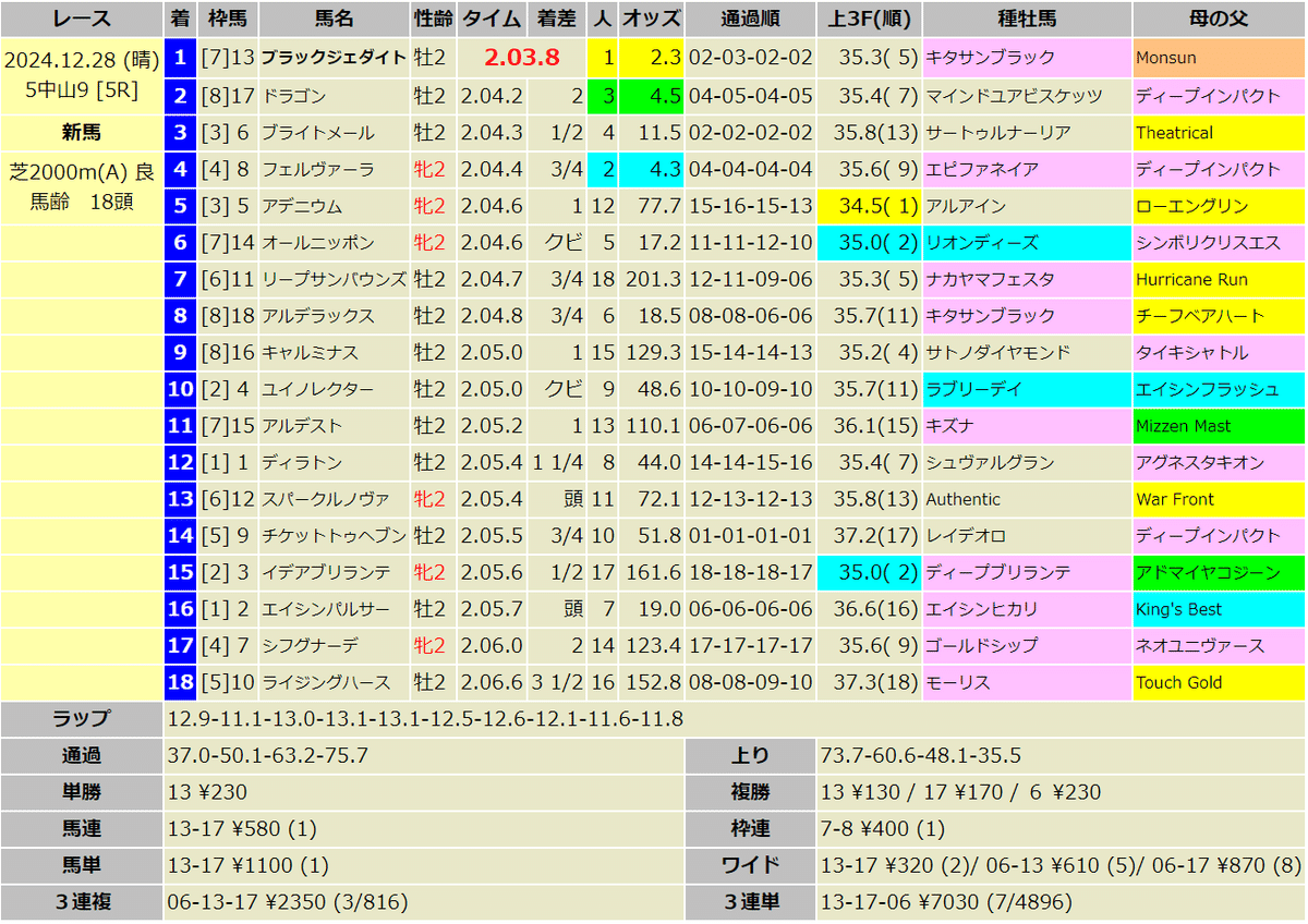 【中央競馬】新馬戦レビュー 2024.12.28｜VRS18🐴
