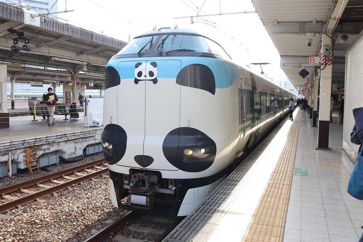 好評につき第二弾！287系「パンダくろしお」編成で行く！関西貨物線ツアー 日帰りの旅で年納め！｜ryokichi