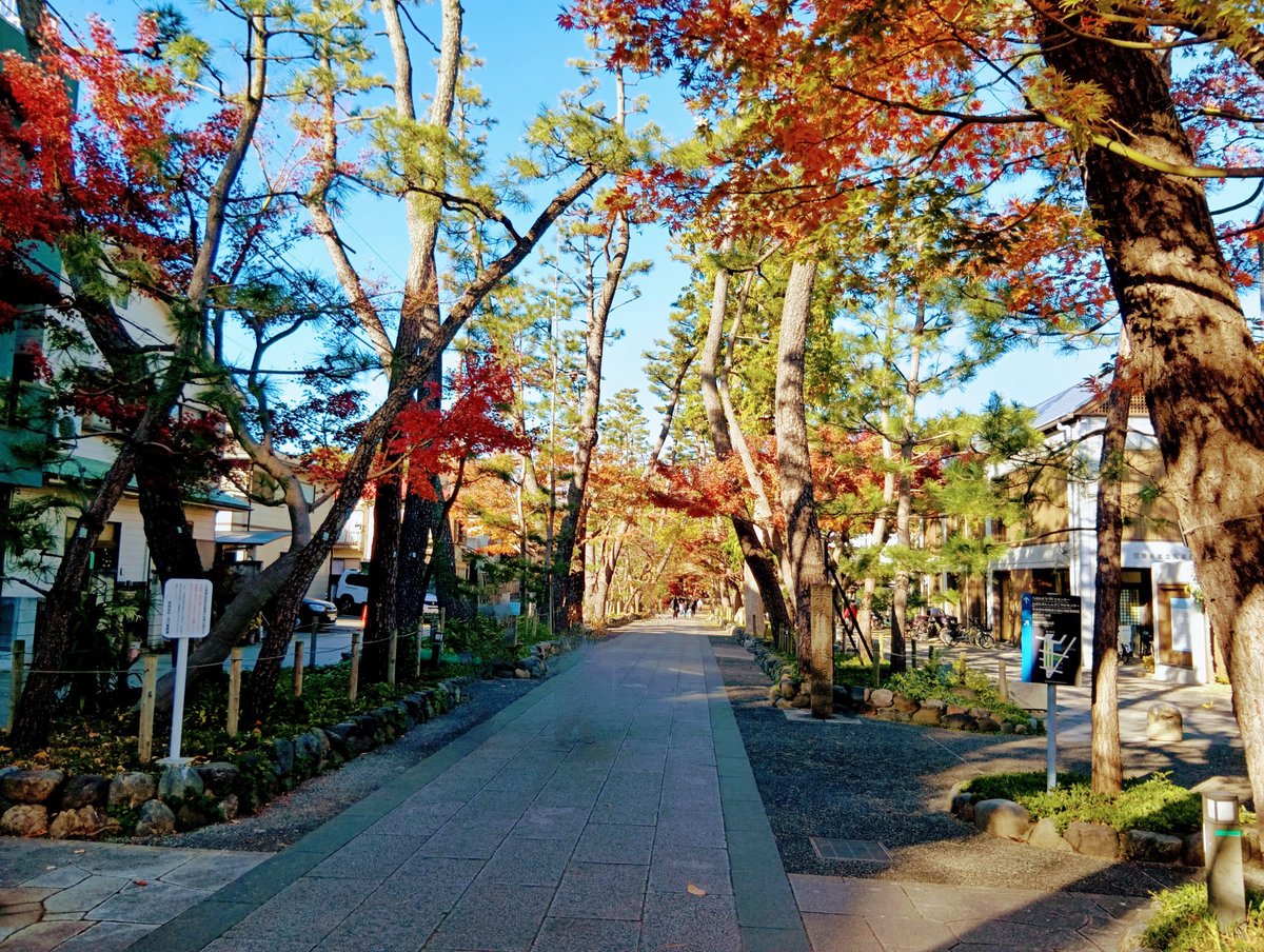 世田谷九品仏絶景紅葉と三途の川｜seya_kinoto