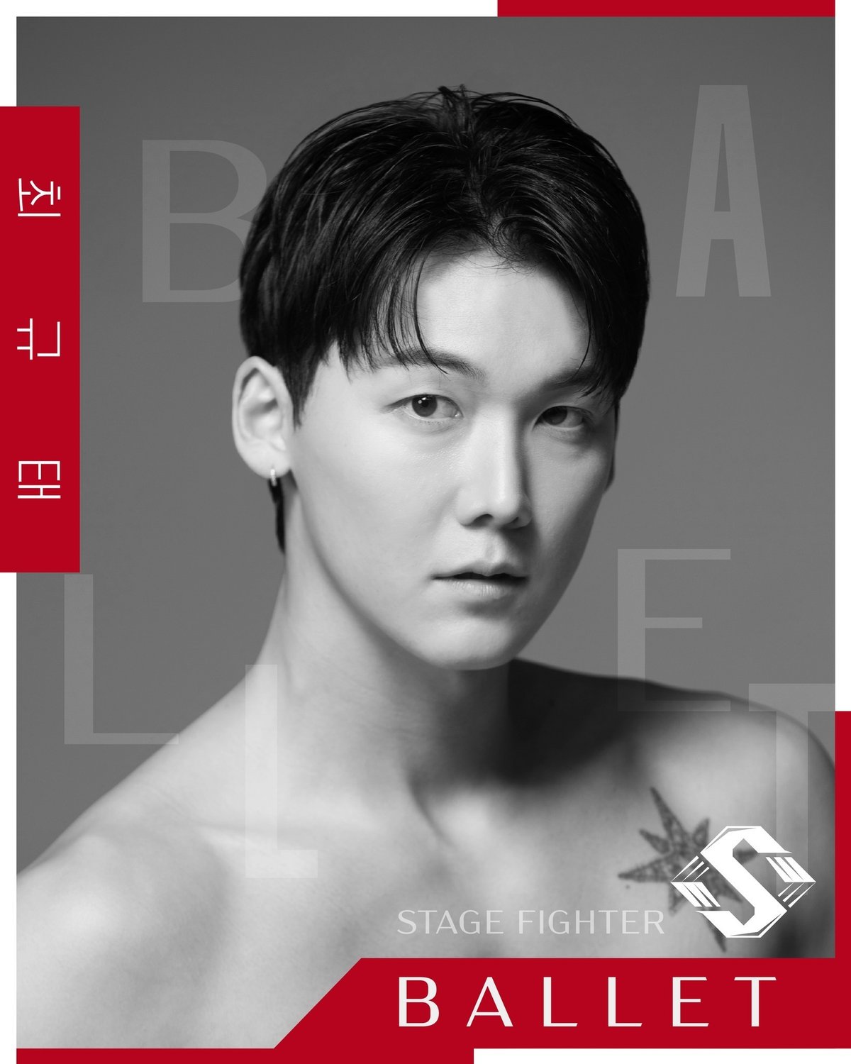 #2 日本から公式供給だけでステージファイターを楽しむ方法〜バレエダンサー紹介〜（2024.12.31更新）｜tara_stf