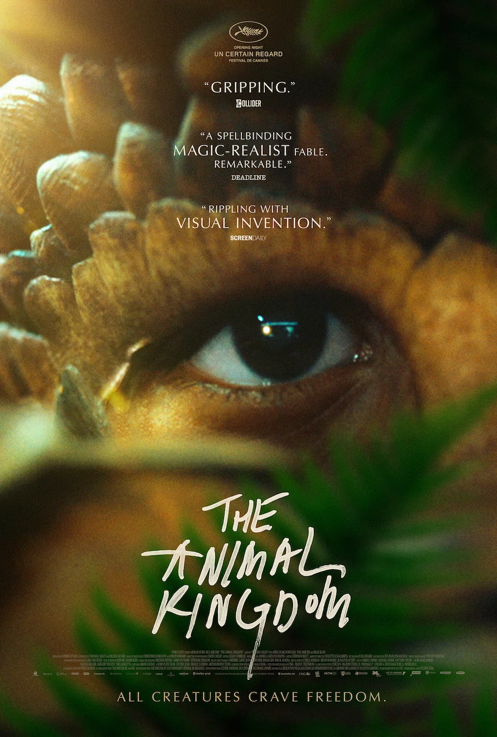 2024年の映画ベスト5｜kumashun
