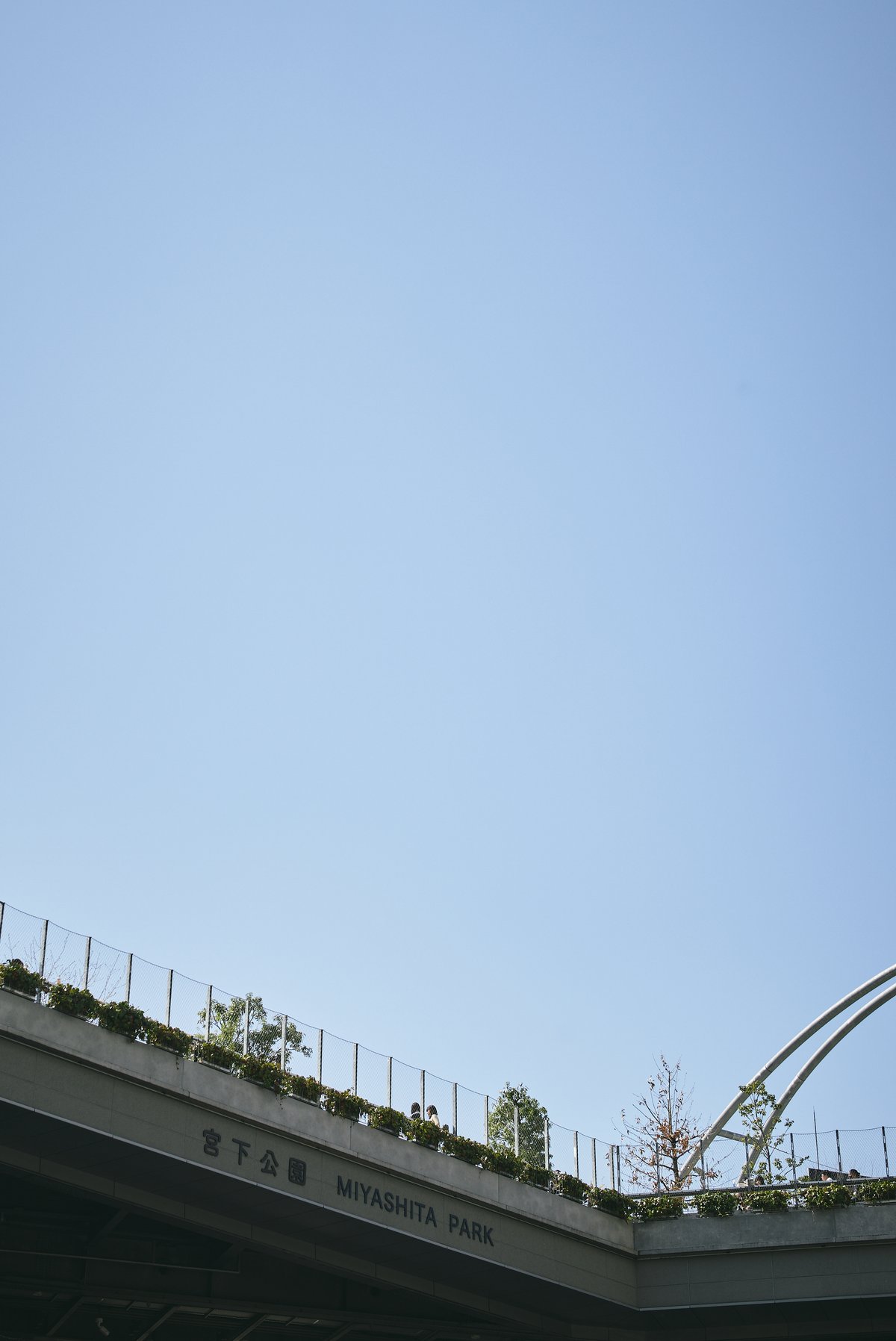 Leica M(Typ240)購入から1年｜Kazumasa Kato