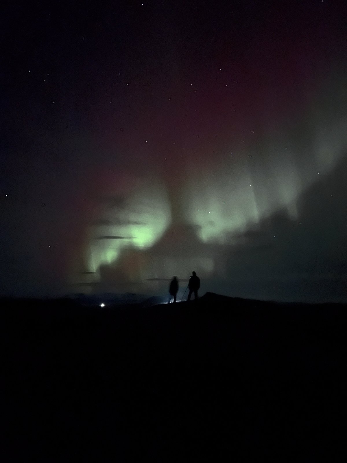 2024年のまとめ｜Shusuke