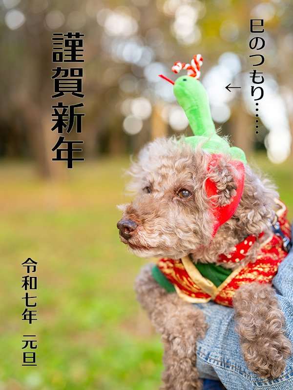 謹賀新年｜TERU