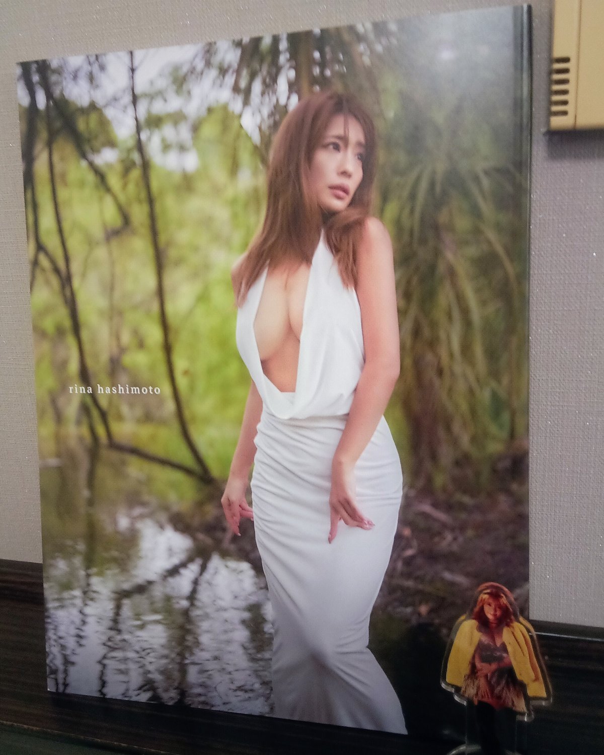 グラビアアイドル推し活日記（61）橋本梨菜デビュー10周年記念写真集「greendays」レビュー｜ryokichi