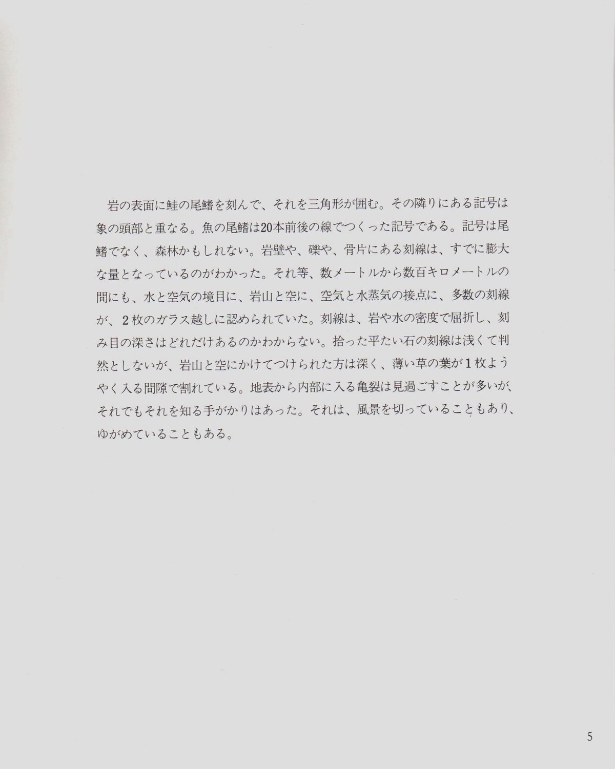 若林奮『境川の氾濫』etc.｜薄井 灌 Kan Usui