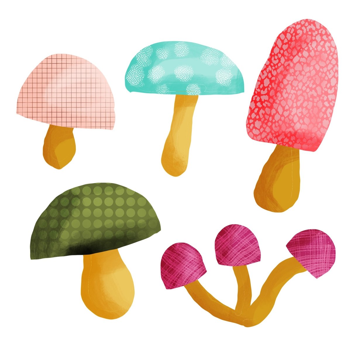 day132 procreate知らないことばかり｜katamuku