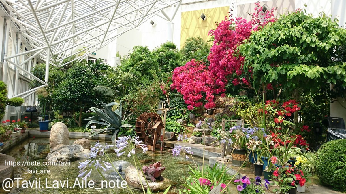 今年やりたい10のこと｜Tavii.Lavi.Aile_note