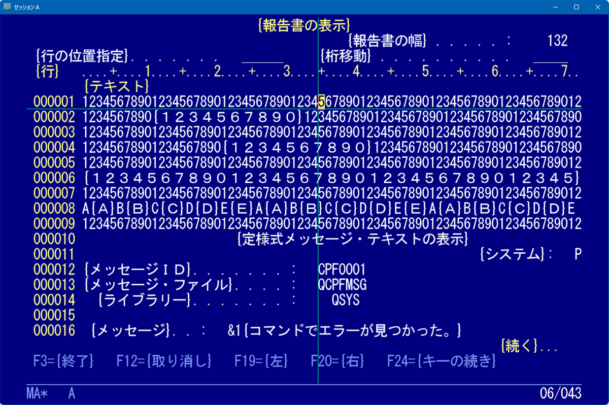 ACSで2バイト文字の表示が安定しない問題（25/01/03）｜F