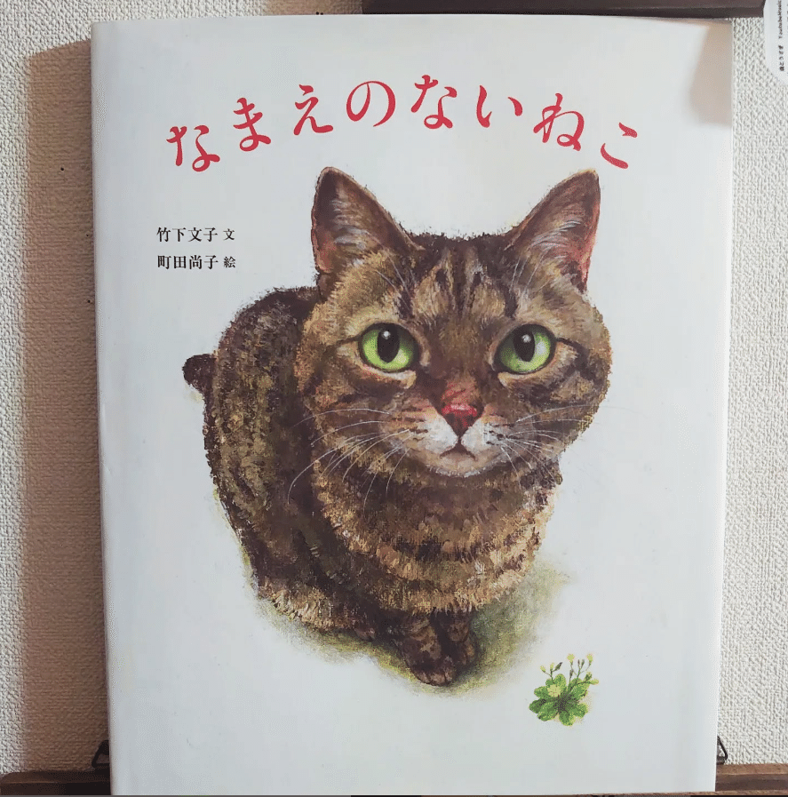 【印象的な瞳】2024/10/14｜comxcom古