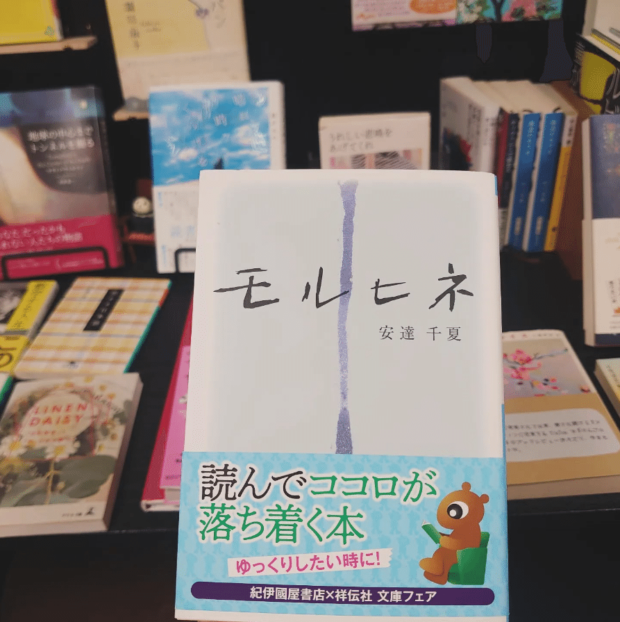 【裏切り大歓迎※いい意味に限る】2024/10/25｜comxcom古