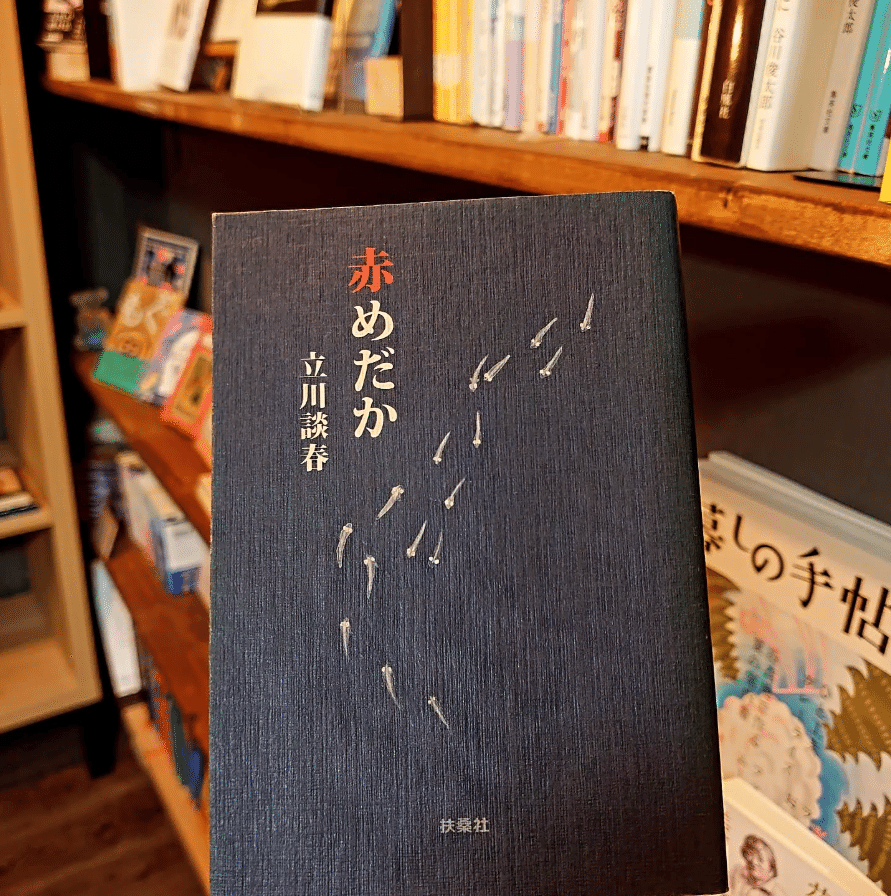 【毎日投稿の辛み】2024/10/29｜comxcom古