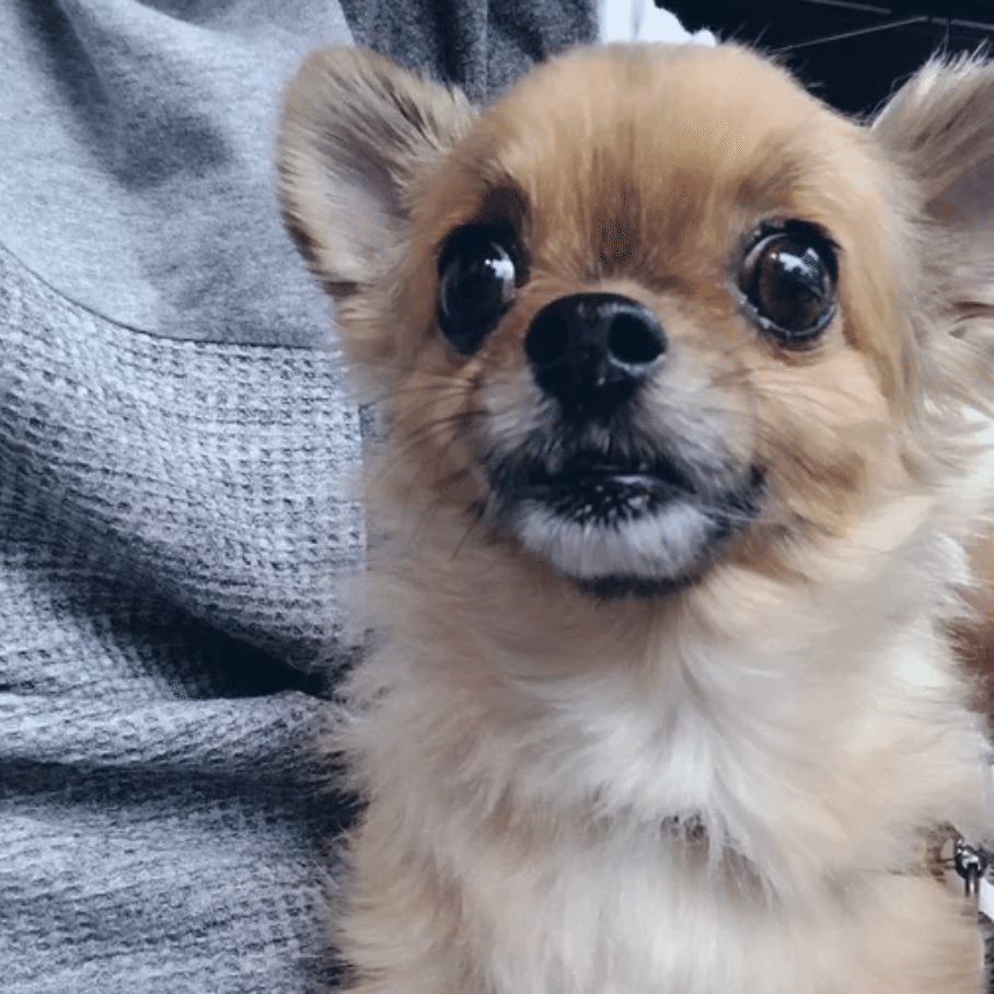 【FP1級・CFP】あそさん【合格体験記】｜自習の森 | 社会人勉強コミュニティ