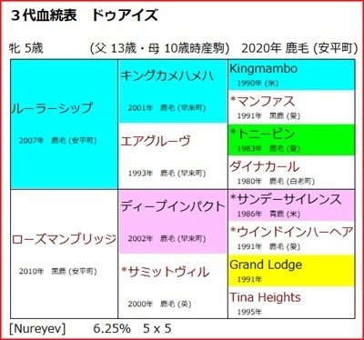 【2025 京都金杯（G3）】～予想篇｜Haya