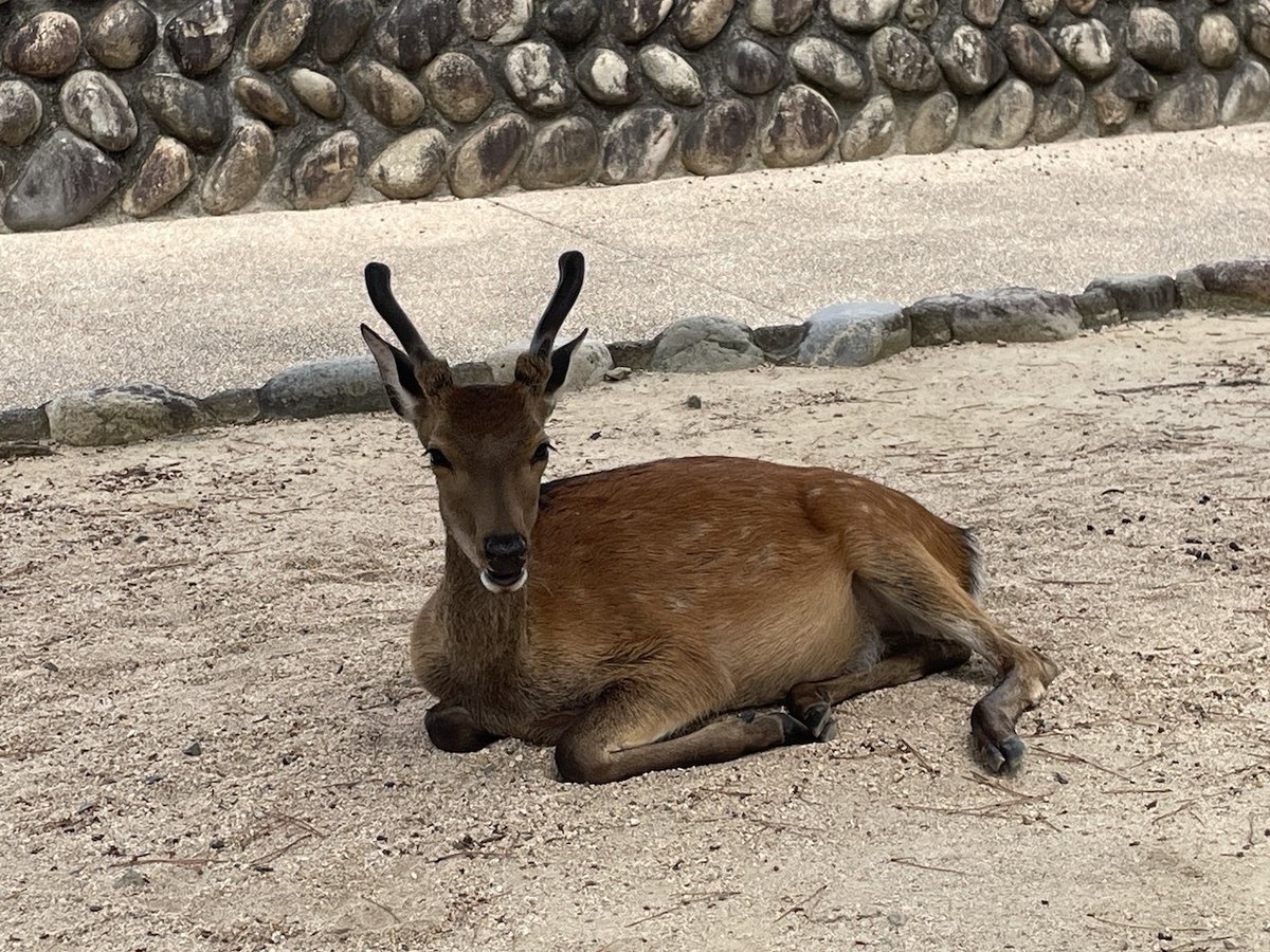 ぐるっと日本を旅してみた Vol.53｜bec