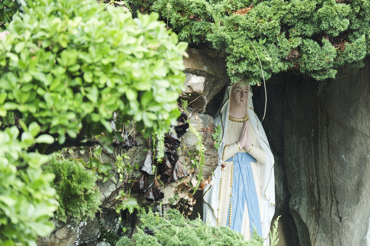 Dialogue With Mary_熊本県_2025｜Dialogue With Mary @shinya-hirose