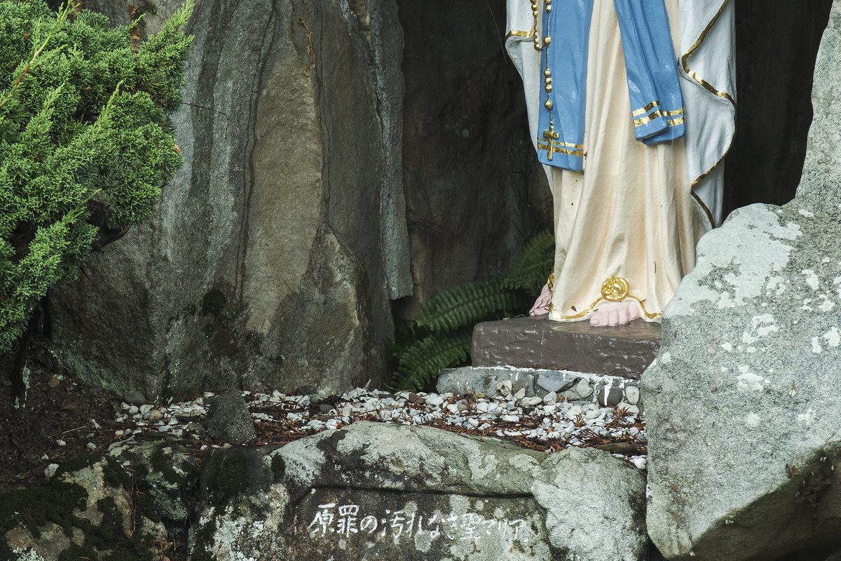 Dialogue With Mary_熊本県_2025｜Dialogue With Mary @shinya-hirose