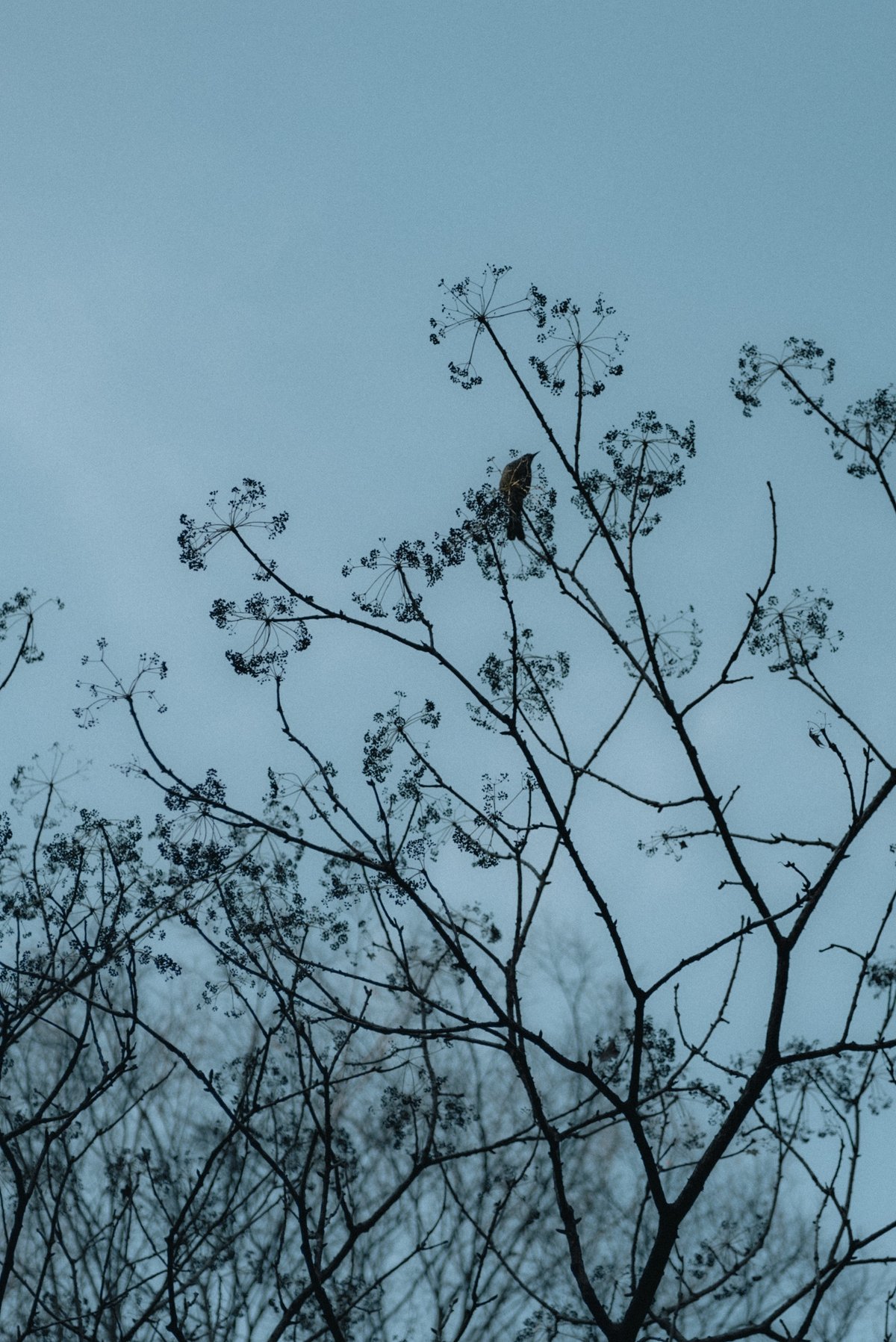 写真で振り返る2024｜seina