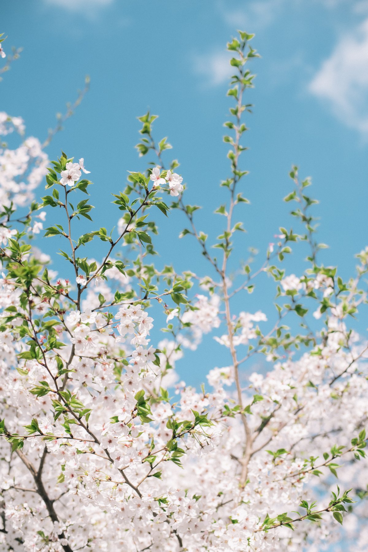 写真で振り返る2024｜seina