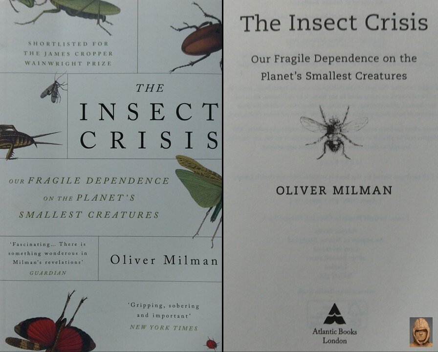 蟲｜Ռոշանակ (Roshanak)