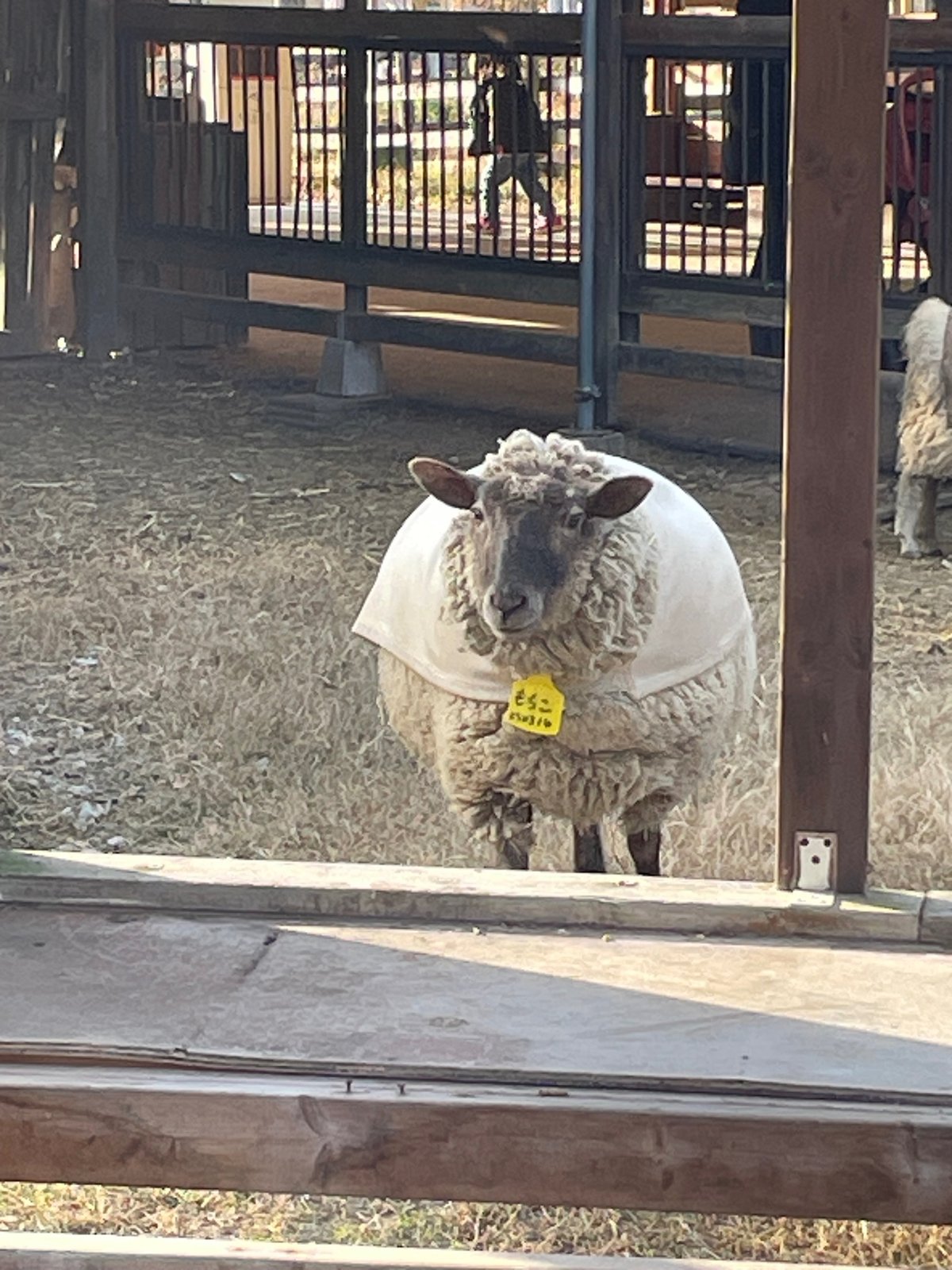 20250108｜hiroko ChelseaBird