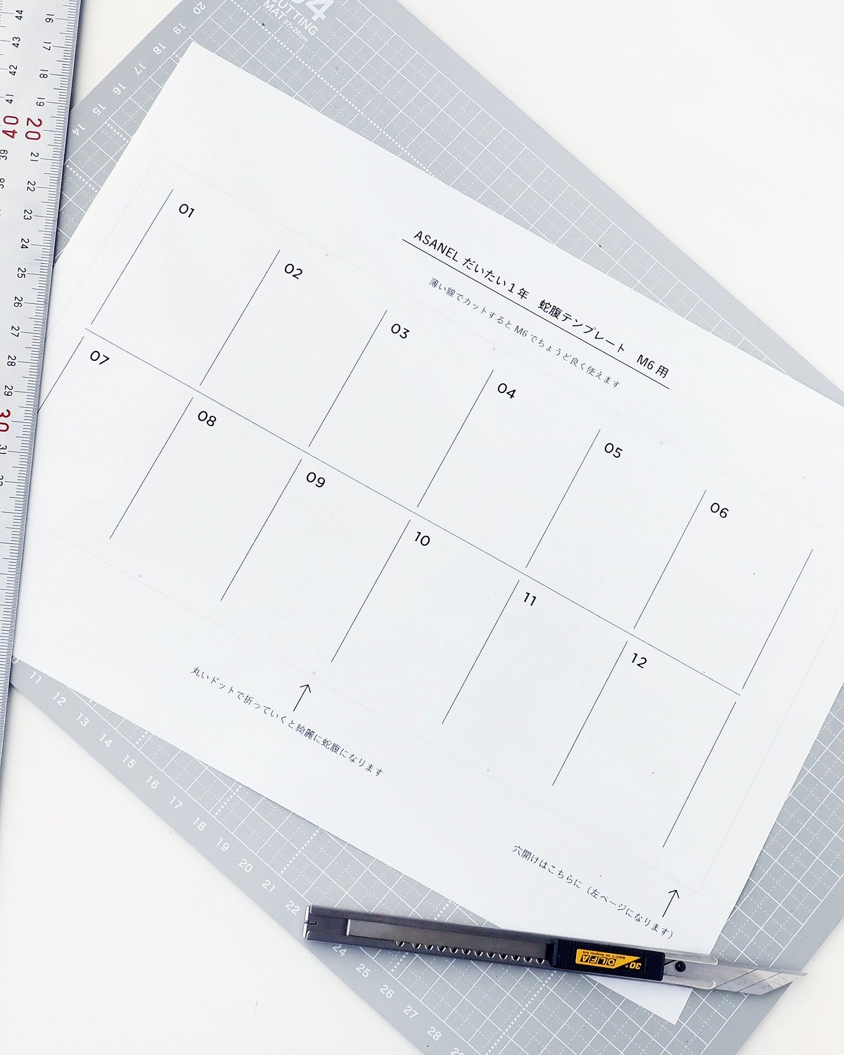 【M6】 だいたい1年の流れを書こう 蛇腹テンプレート｜ASANEL