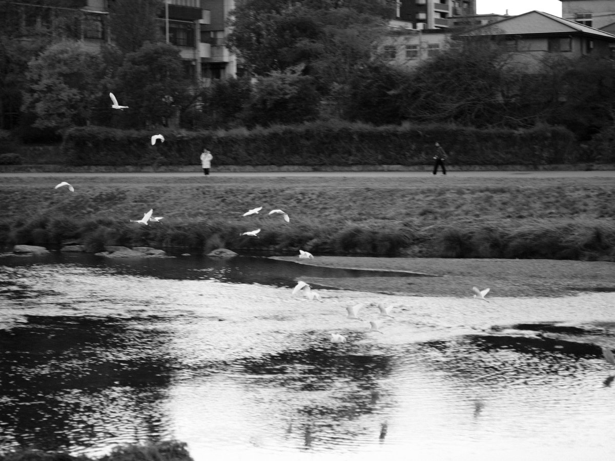 あと一歩に届く、表現力。｜ FUJIFILM GFX 50R｜Oto Hanada