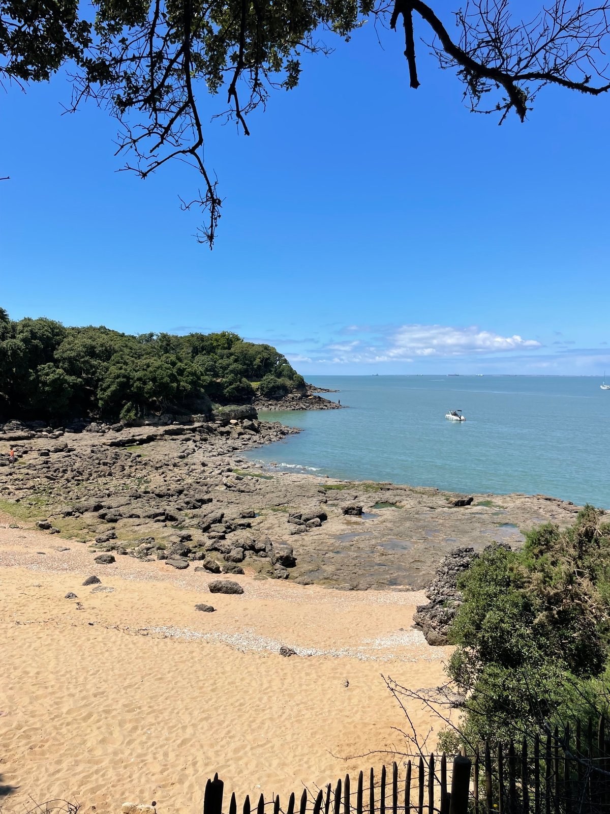 フラの牡蠣とブータン・ノワール｜chef ichi