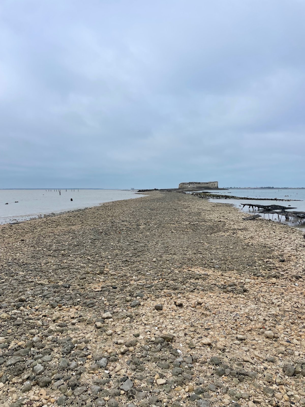 フラの牡蠣とブータン・ノワール｜chef ichi