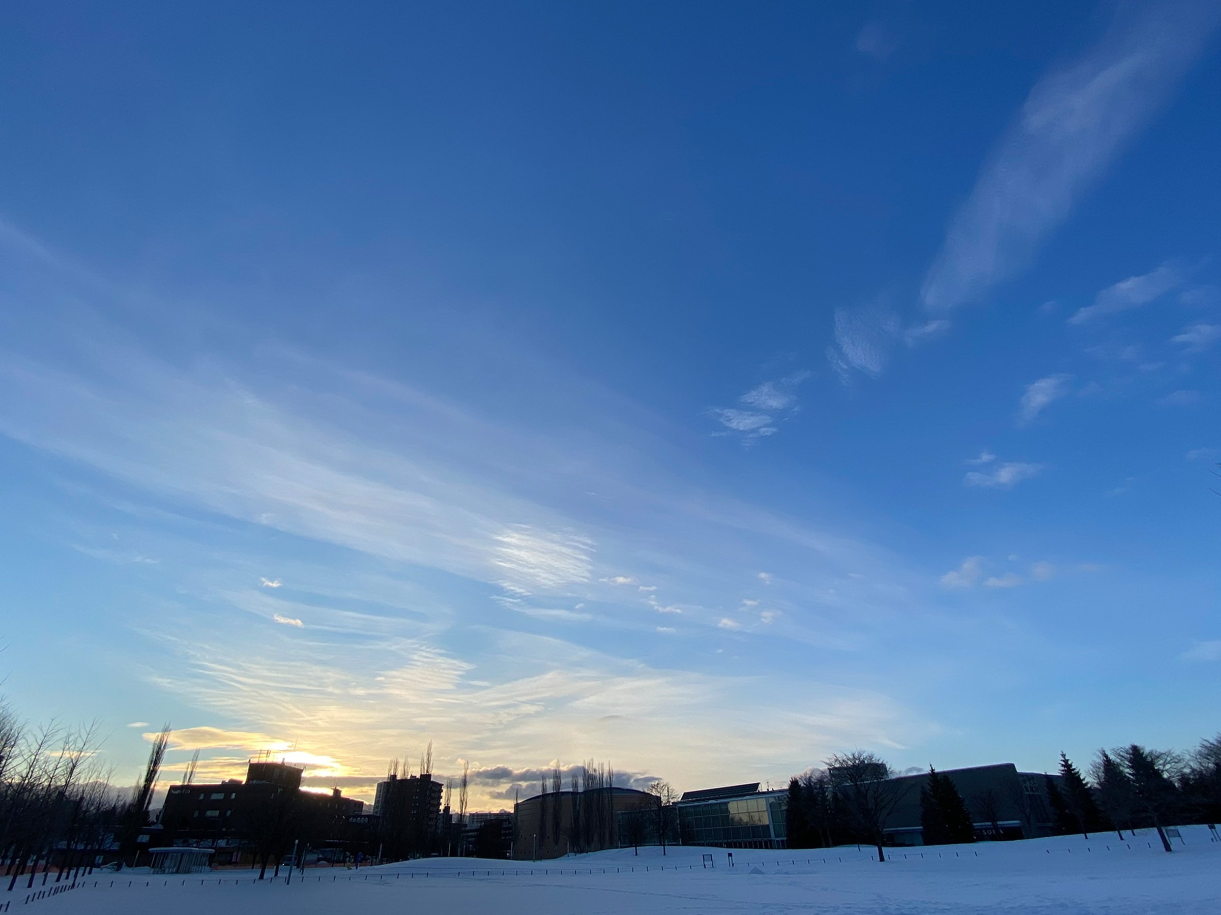 今日の冬空。｜まさ / Atelier Masa
