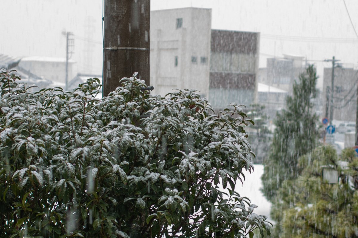 ついに積雪が・・・北陸の本格的な冬到来｜hiroki_rps_vn