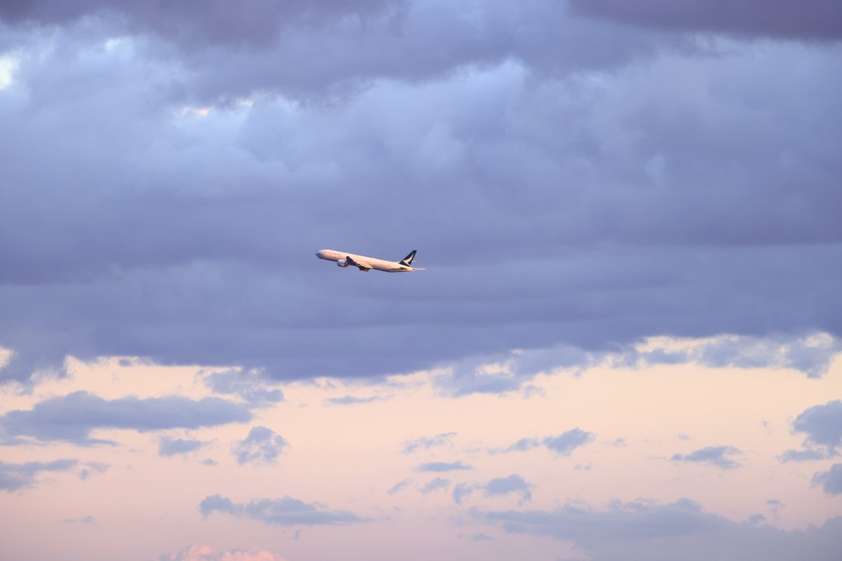 ヒコーキ写真寄って撮るか引いて撮るか｜nasujin