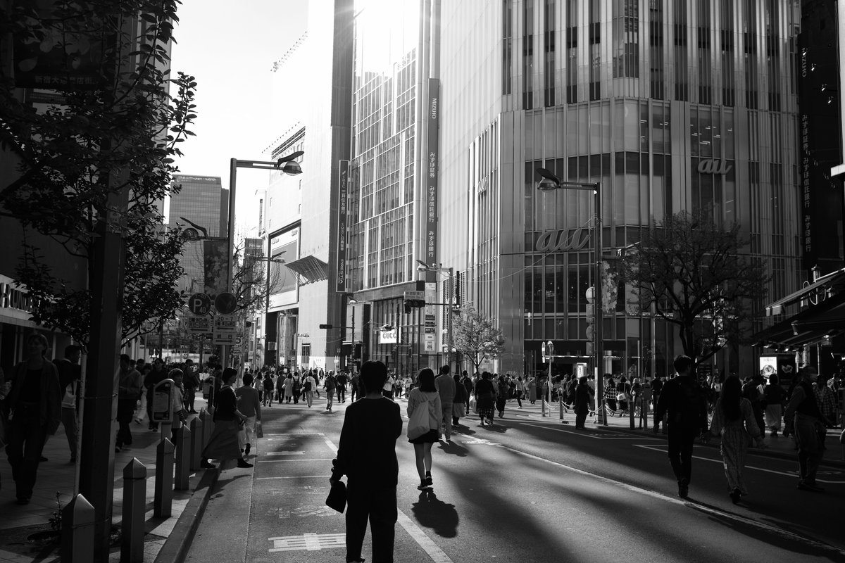 Leica M(Typ240)購入から1年｜Kazumasa Kato