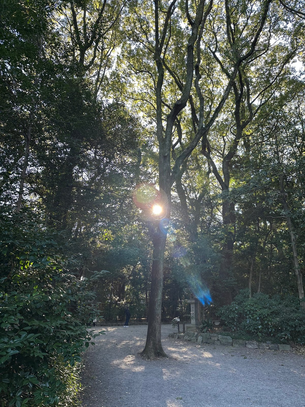 2025'やっほー🤍🌞 ｜Mika Mori