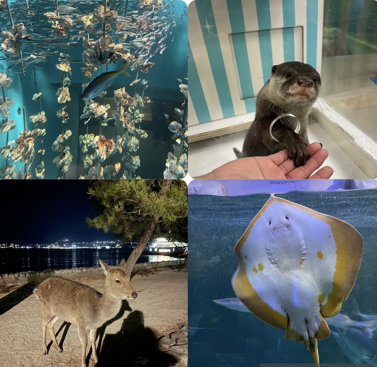 娘と一緒に Echoes of Life 広島公演へ｜fuuca