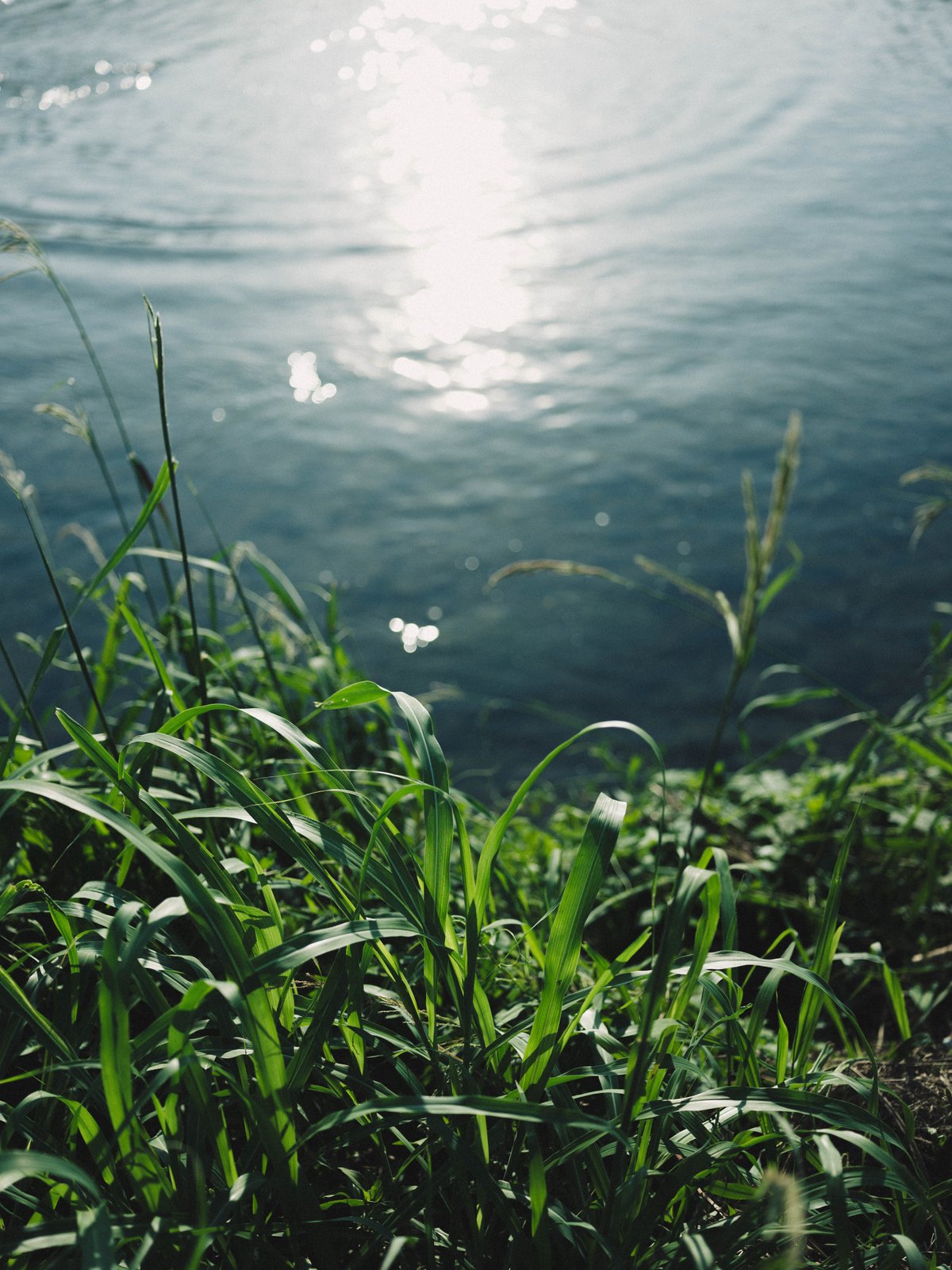 あと一歩に届く、表現力。｜ FUJIFILM GFX 50R｜Oto Hanada