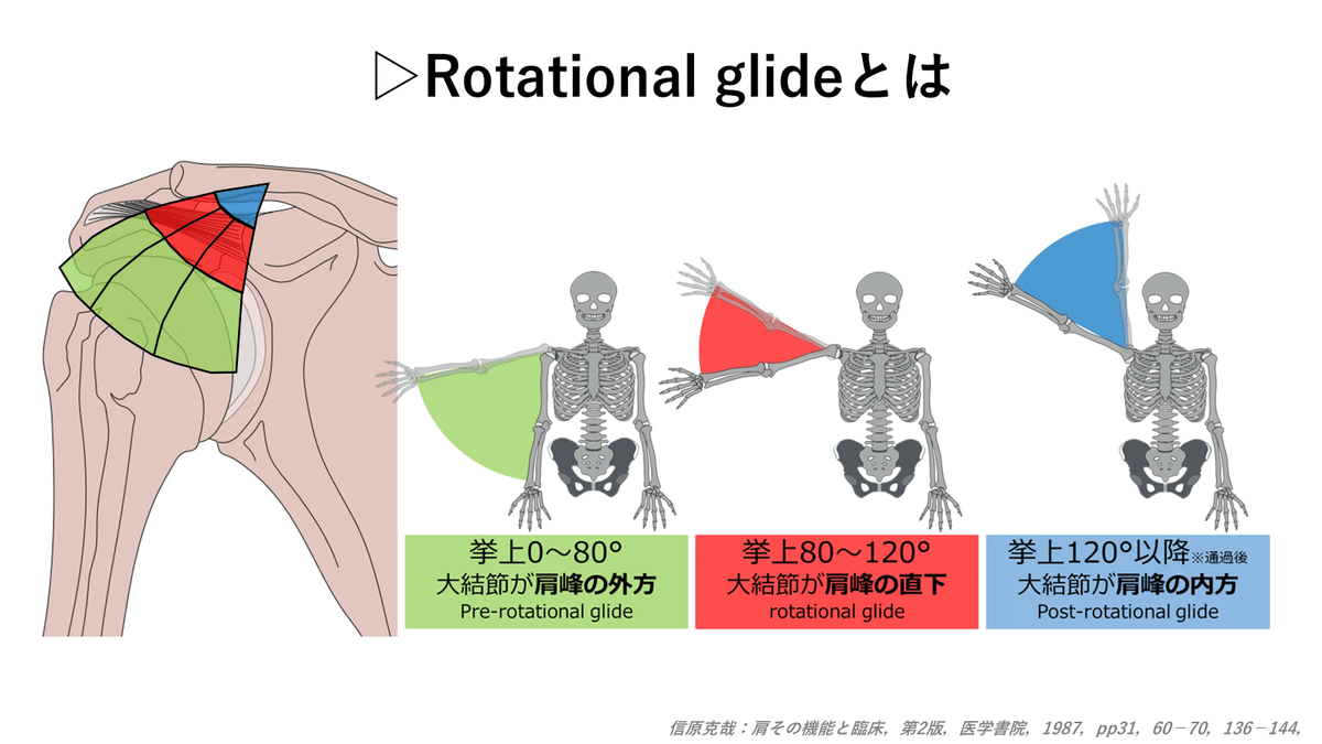 【定期購読版】肩峰下の大結節運動-Rotatitonal Glideとは-｜肩関節機能研究会 郷間