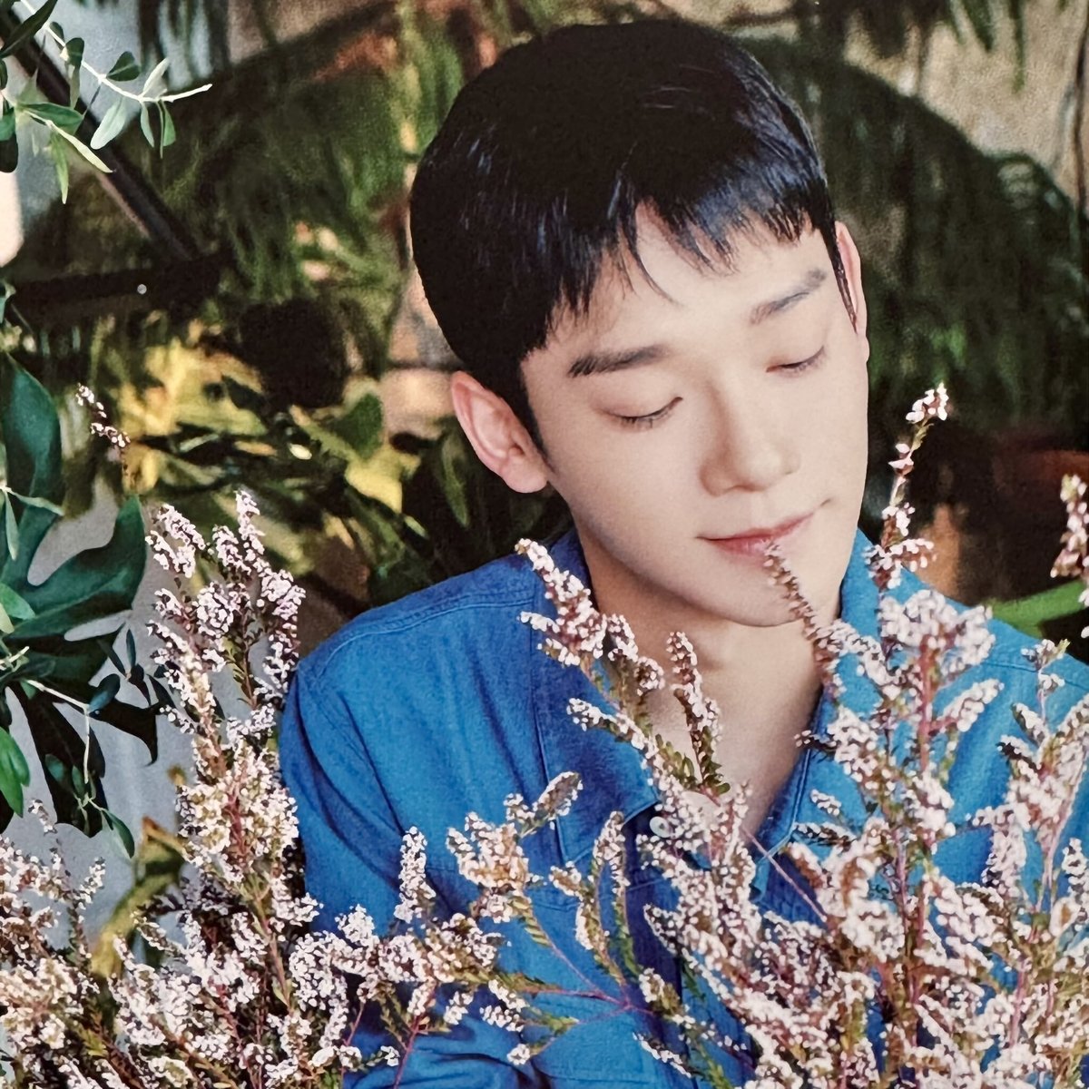 CHEN2025年スケジュール｜Charsound