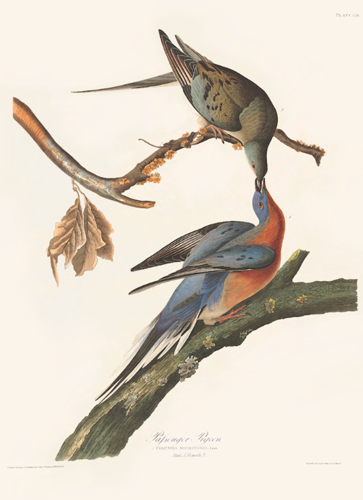 日記はじめ@note｜Mariko.F