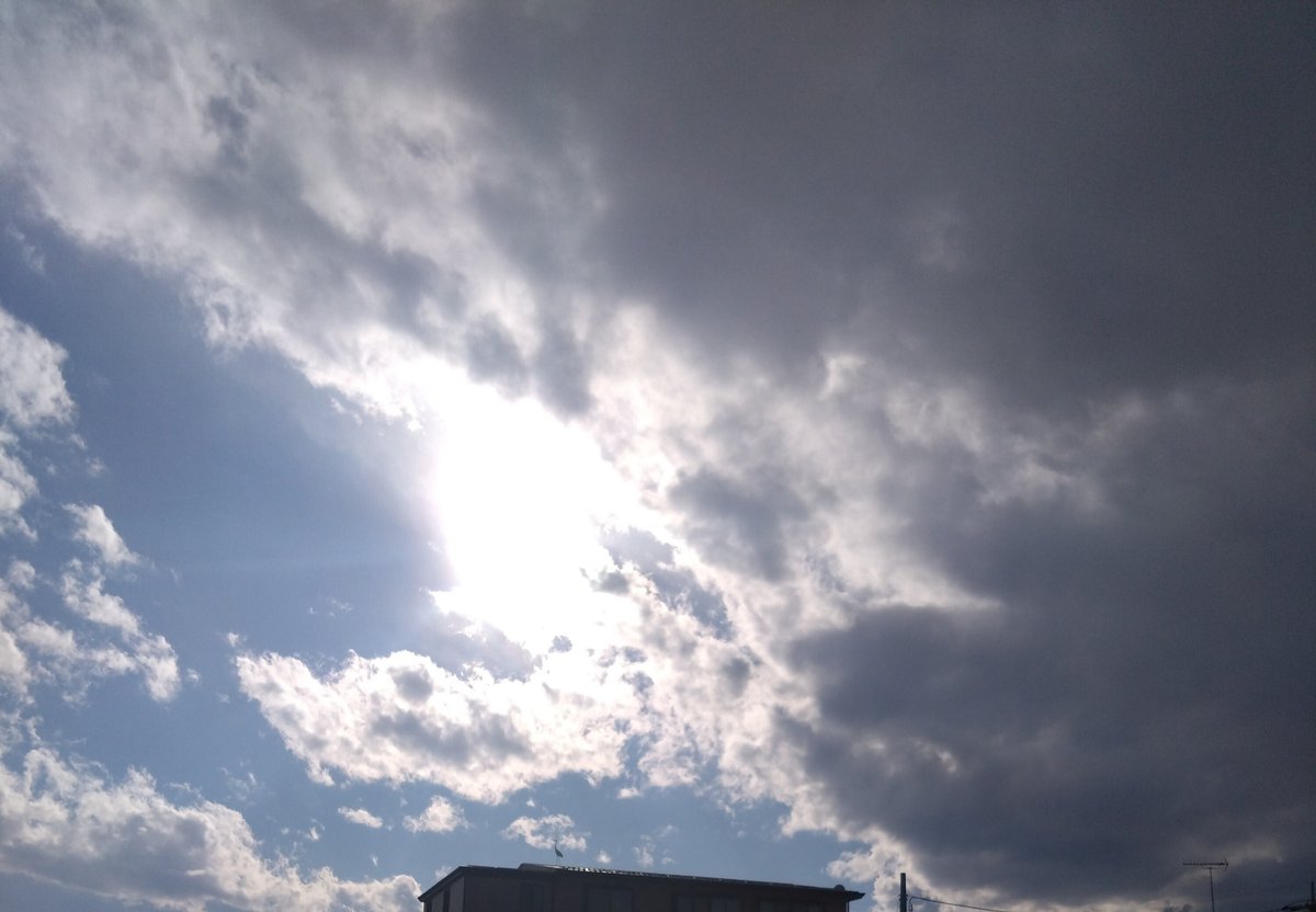 晴れ。1月後半ですね。｜Tavii.Lavi.Aile_note