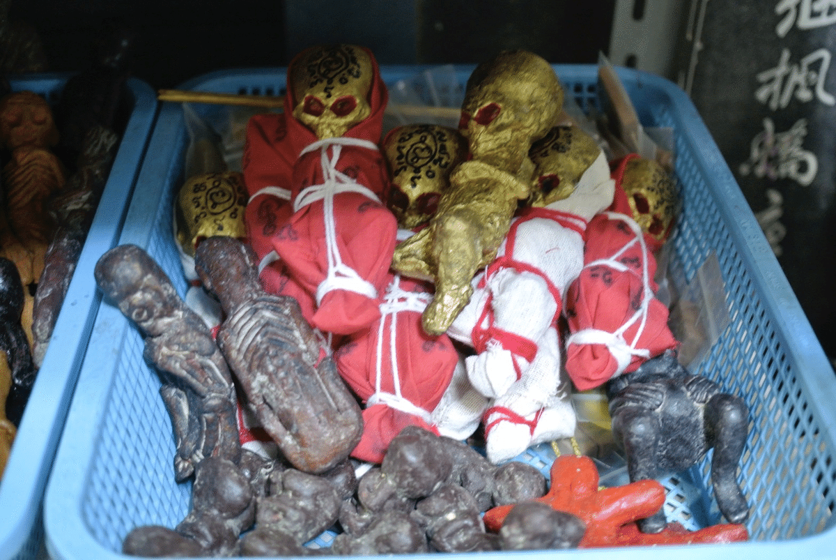 はじめまして｜koni__thai