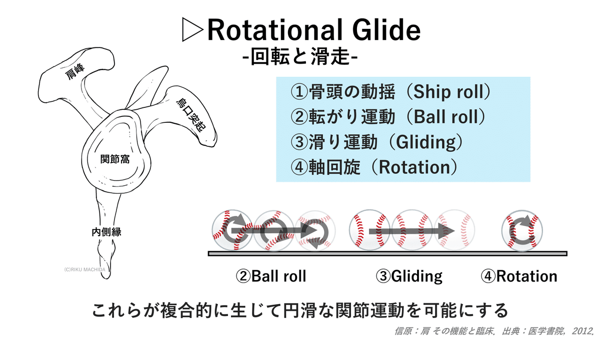 【定期購読版】肩峰下の大結節運動-Rotatitonal Glideとは-｜肩関節機能研究会 郷間