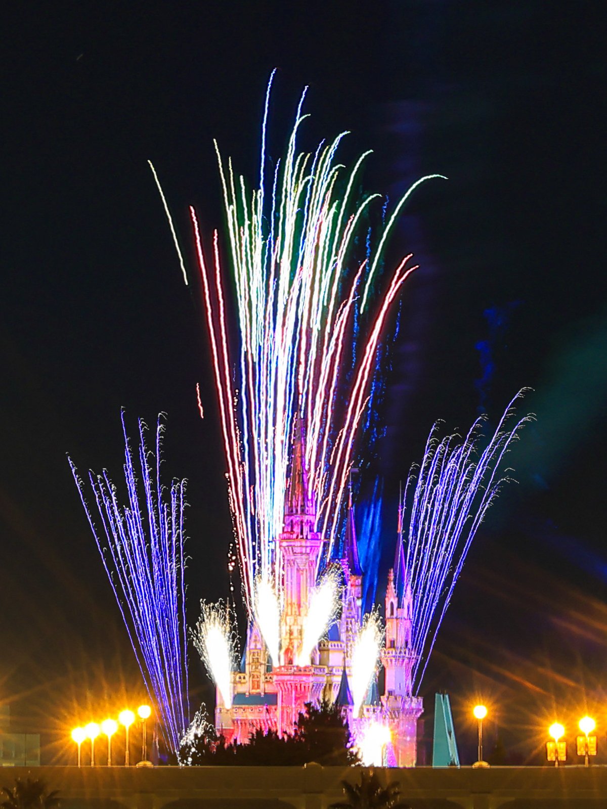 Reach for the Stars@葛西臨海公園｜Toru Shiratori