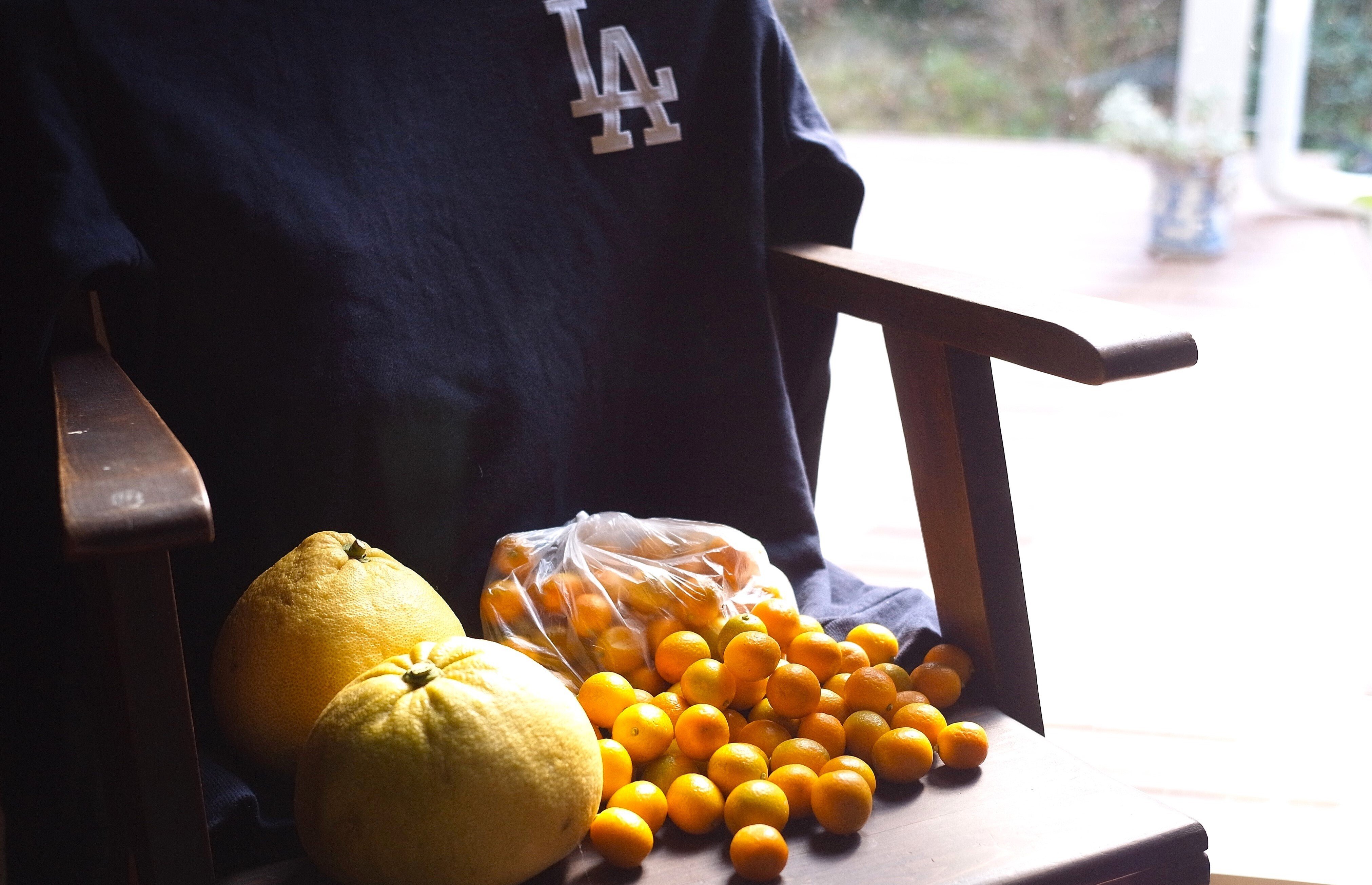 写真「光でスケッチ」・・・お裾分け｜Rabi Sato