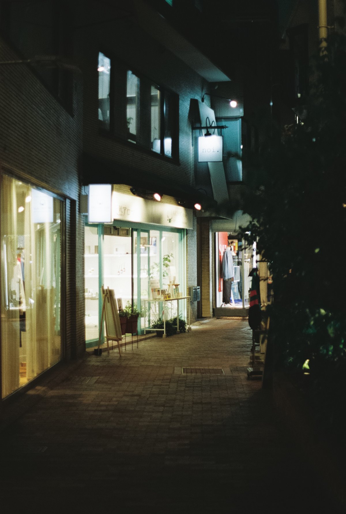 【作例あり】CONTAX Aria ファーストロール｜Motoki Endo