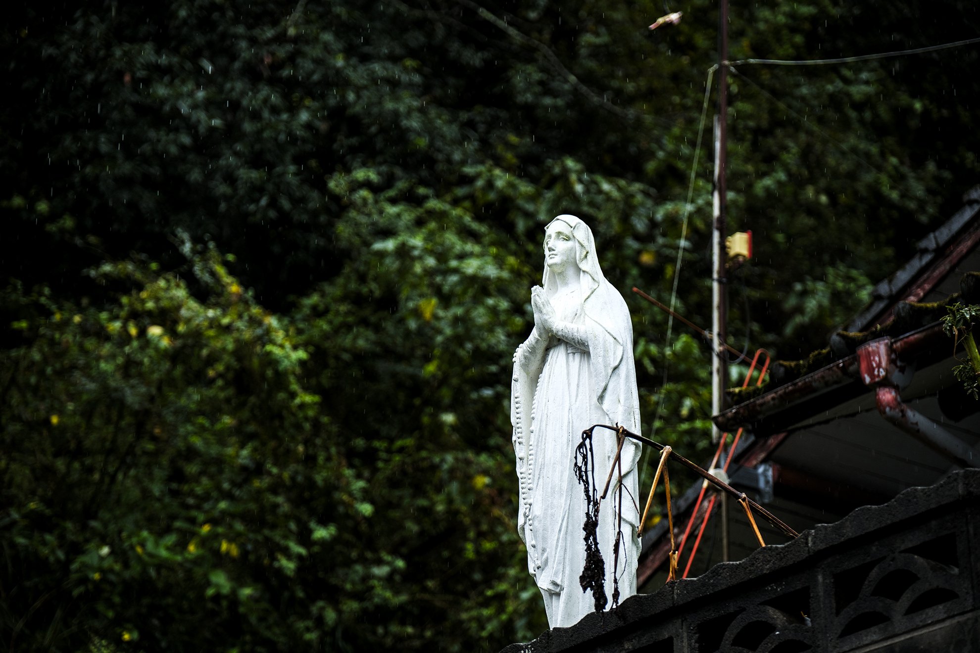 Dialogue With Mary_熊本県_2025｜Dialogue With Mary @shinya-hirose